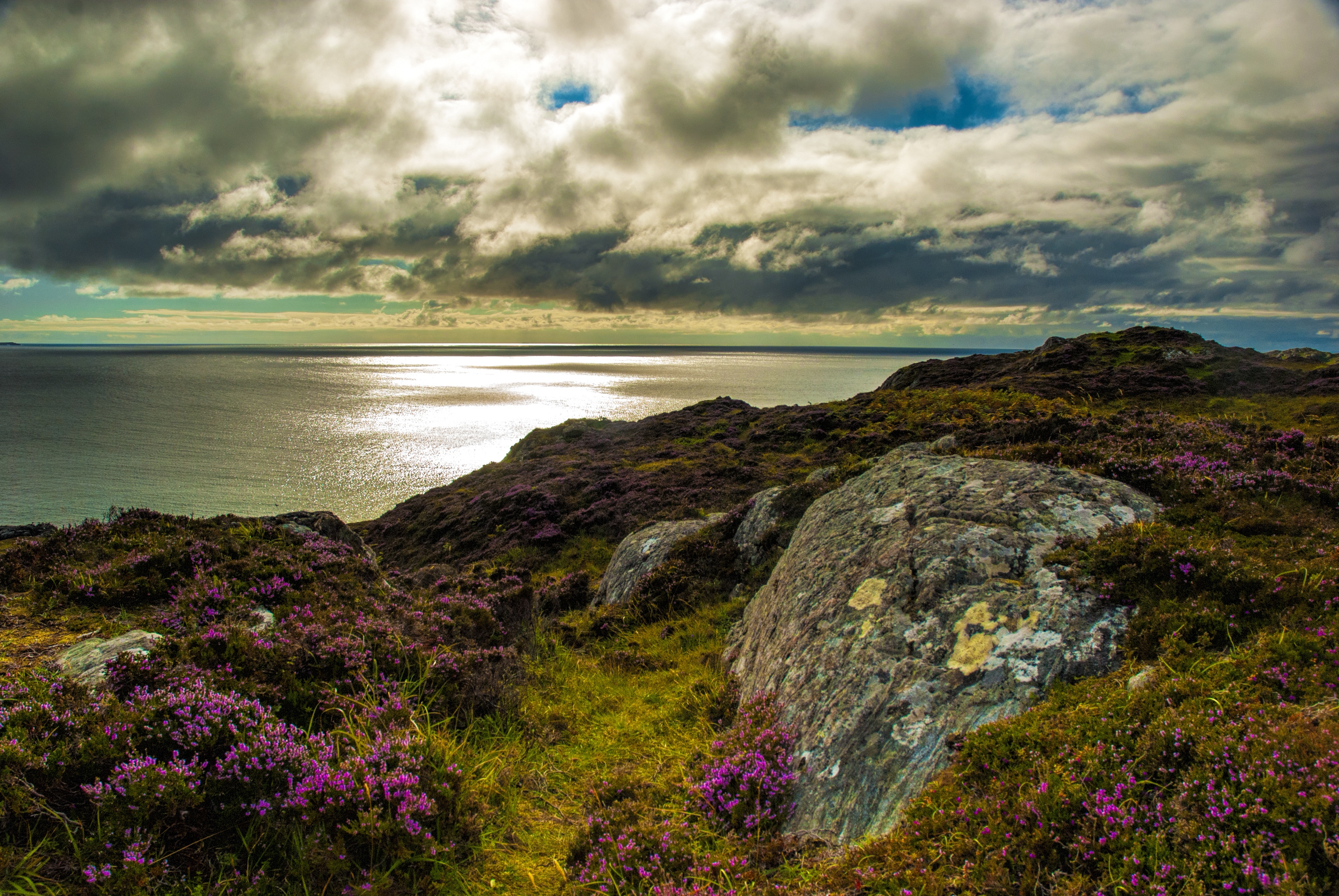 Award-Winning Tours of Scotland | Timberbush Tours